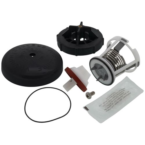 RK1-420 - Zurn RK1-420 - 1" Complete Repair Kit for 420 & 420XL Series