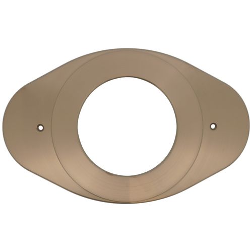 RP29827CZ - Delta RP29827CZ - Shower Renovation Cover Plate (Champagne ...