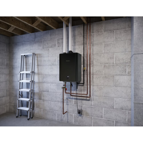 RX160IN - Rinnai RX160IN - RX160IN 160,000 BTU, Condensing Indoor ...