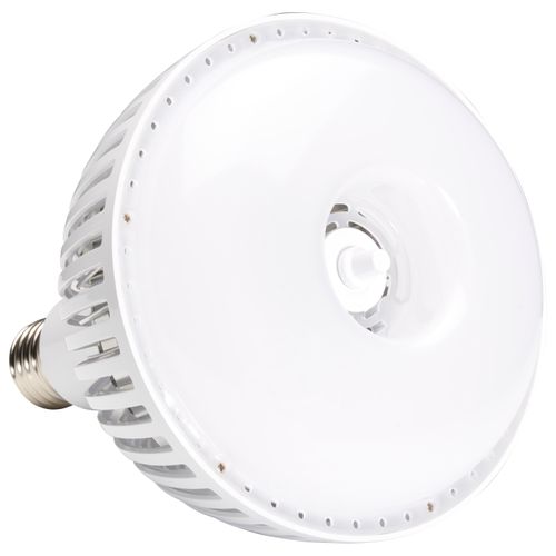 S23113 - Satco S23113 - 80 Watt - LED HID Replacement Bulb - 5000K ...