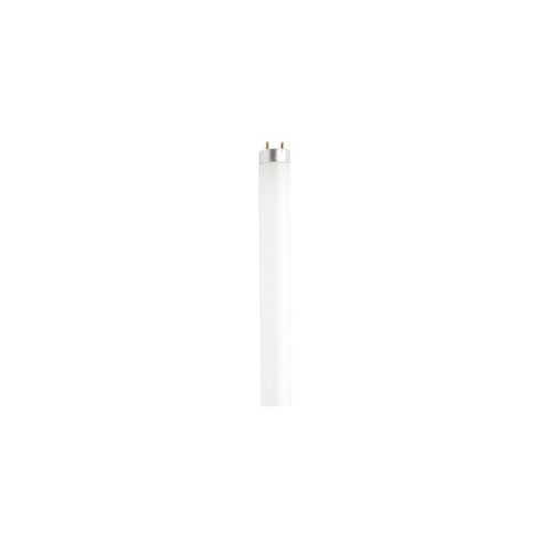 S2917 - Satco S2917 - 32 Watt - T8 - Fluorescent Bulb 4100K Cool White ...