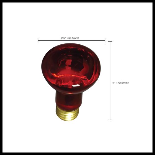 S3200 - Satco S3200 - 50 Watt R20 Incandescent Bulb - Red - 2000 ...