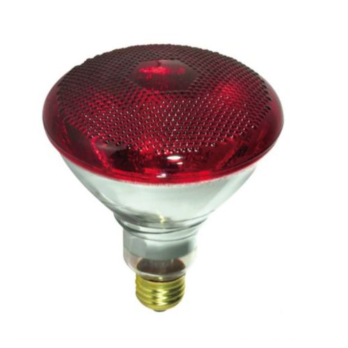 S4751 - Satco S4751 - 175 Watt BR38 Incandescent Bulb - Red Heat - 5000 ...