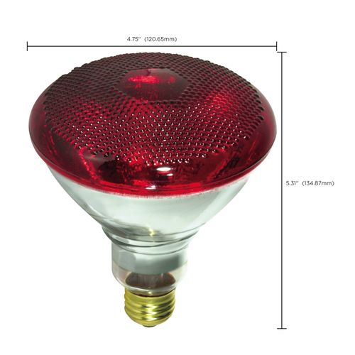 S4751 - Satco S4751 - 175 Watt BR38 Incandescent Bulb - Red Heat - 5000 ...