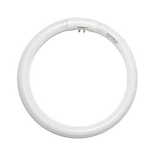 S8168 - Satco S8168 - 22 Watt - T5 - Circline Fluorescent Bulb 4100K ...