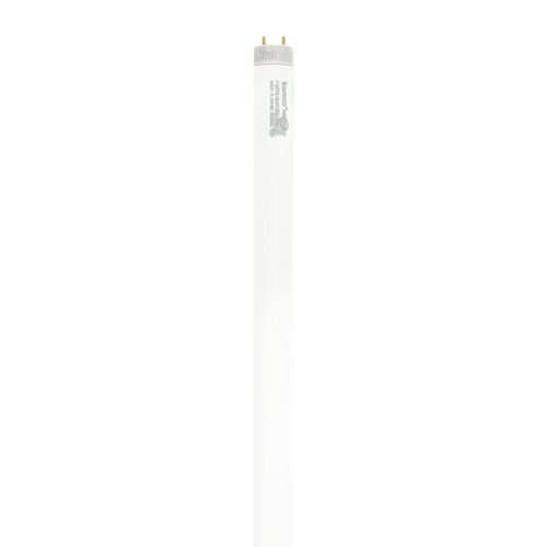 S8445 - Satco S8445 - 32 Watt - T8 - Fluorescent Bulb 4100K Cool White ...