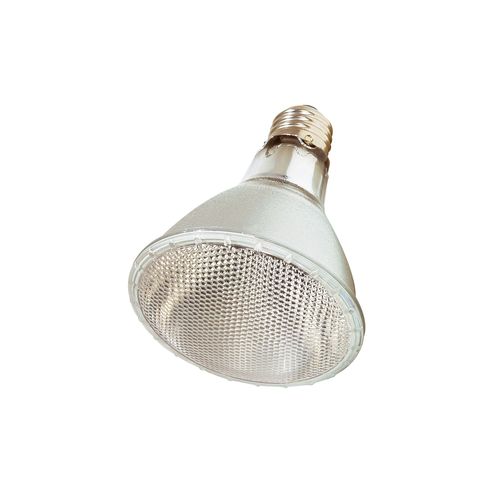 S2316 - Satco S2316 - 75 Watt Halogen - PAR30 Bulb - Clear - 2500 ...