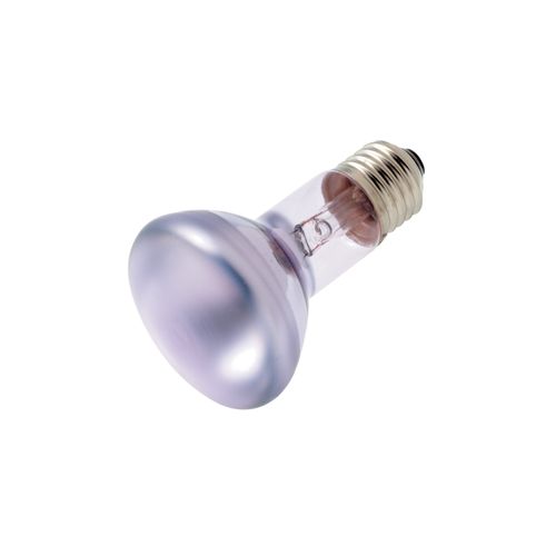 S4824 - Satco S4824 - 60 Watt R20 Incandescent Bulb - Full Spectrum ...