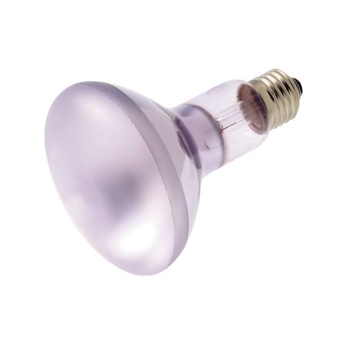 S4825 - Satco S4825 - 75 Watt R30 Incandescent Bulb - Full Spectrum ...