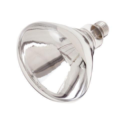 S4885 - Satco S4885 - 250 Watt R40 Incandescent Bulb - Clear Heat ...