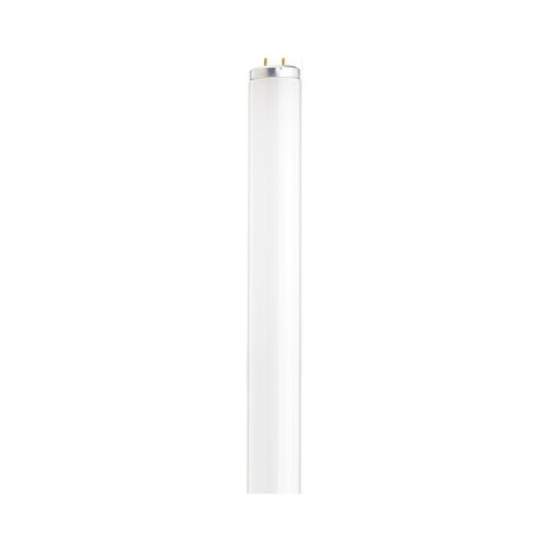 S6609-TF - Satco S6609-TF - 40 Watt - T12 - Fluorescent Bulb 3600K ...
