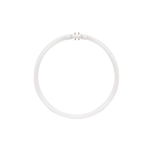 S8162 - Satco S8162 - 55 Watt - T5 - Circline Fluorescent Bulb 3500K ...