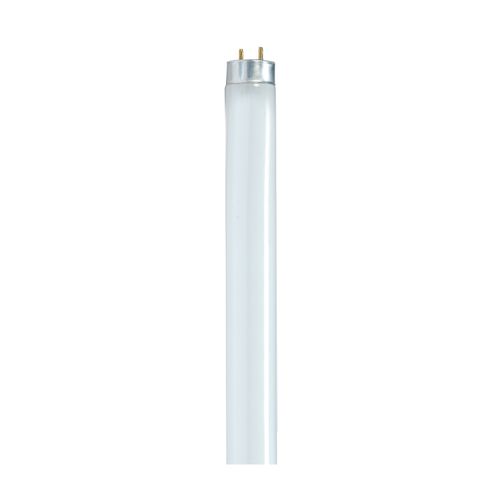 S8442 - Satco S8442 - 25 Watt - T8 - Fluorescent Bulb 6500K Daylight ...