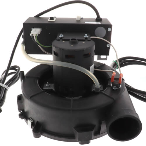 W4 - Fasco W4 - 1-Speed 3400 RPM 1/20 HP Water Heater Draft Inducer (115V)