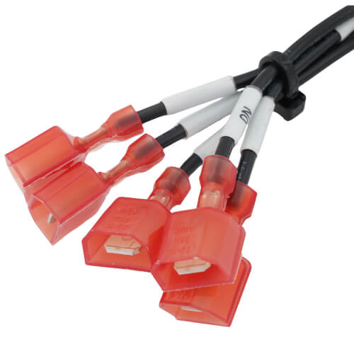 WIR12281 - Trane WIR12281 - Wire Harness, WIR12281