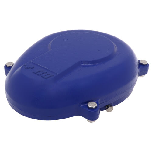 WTC-C06 - Boshart WTC-C06 - 6" Watertight Cast Iron Well Cap (Blue)