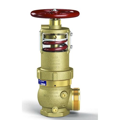ZW5000G - Zurn ZW5000G - 2-1/2" FNPT or Grooved x Grooved Pressure Tru ...